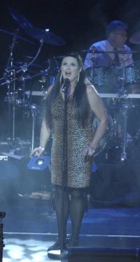 Kristy Lee Entertainment | Vocalist / Entertainer